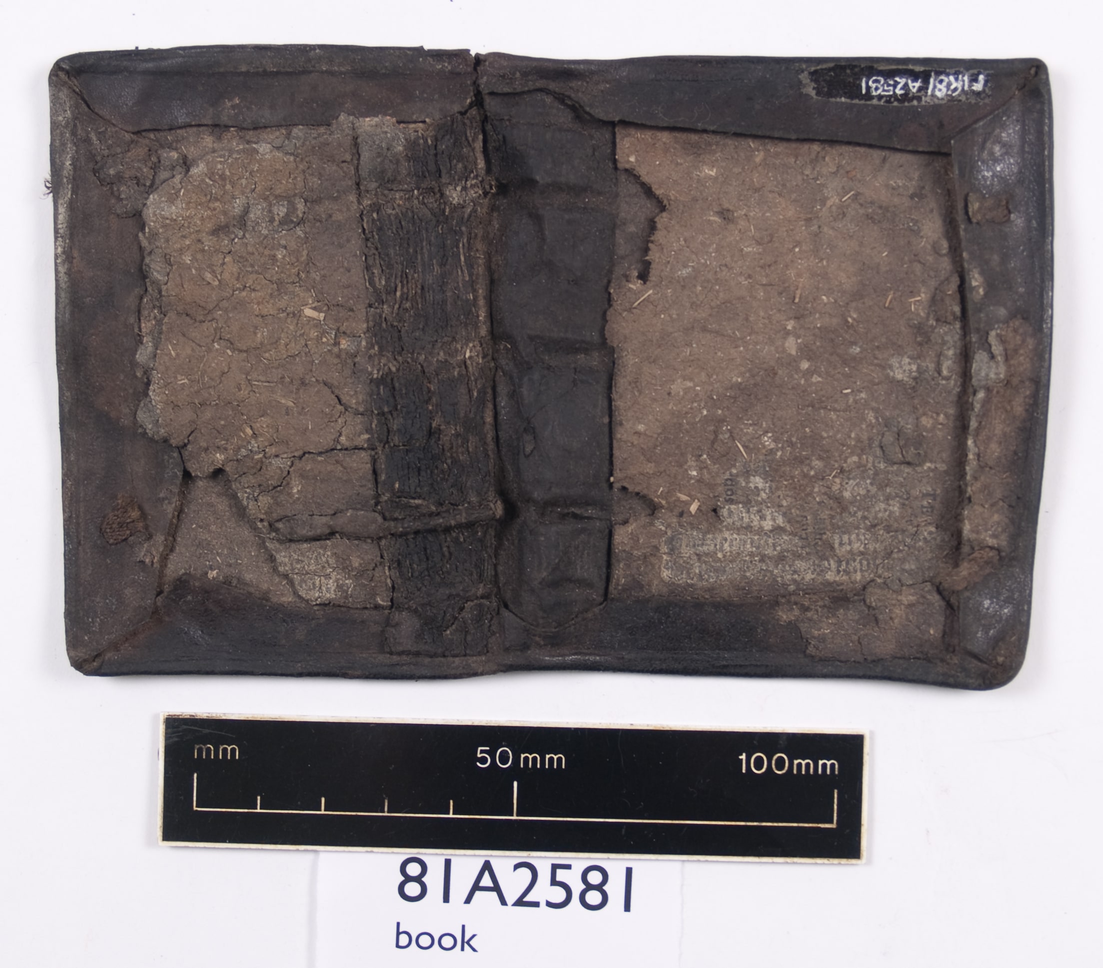 Inside Book Cover - Mary Rose