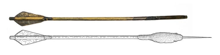 Archery and longbows on the Mary Rose - Mary Rose