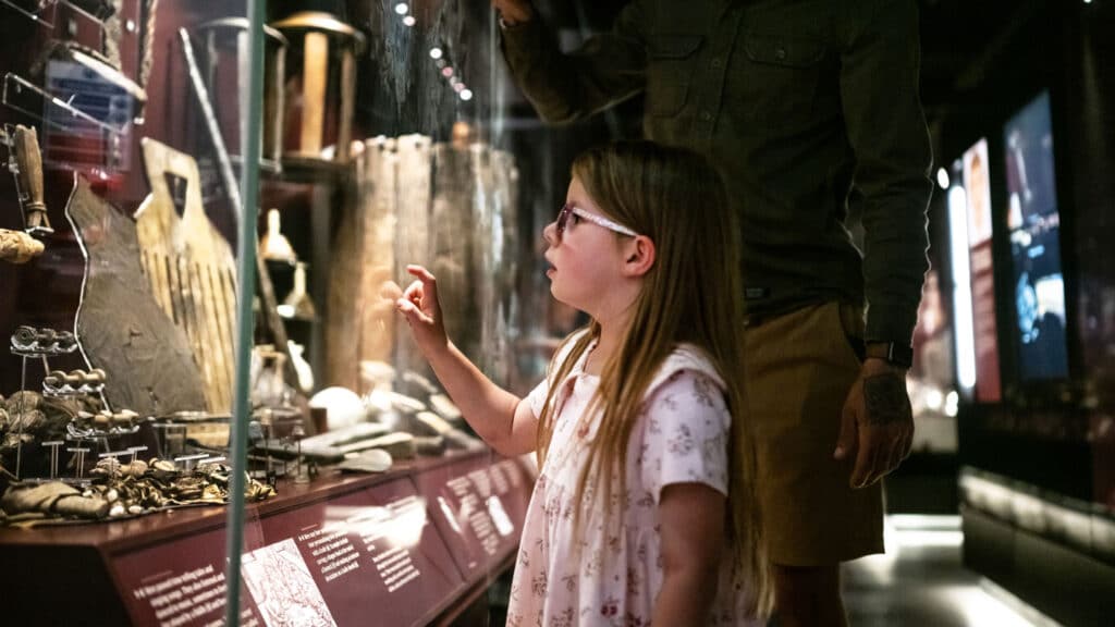 The Mary Rose - The Mary Rose